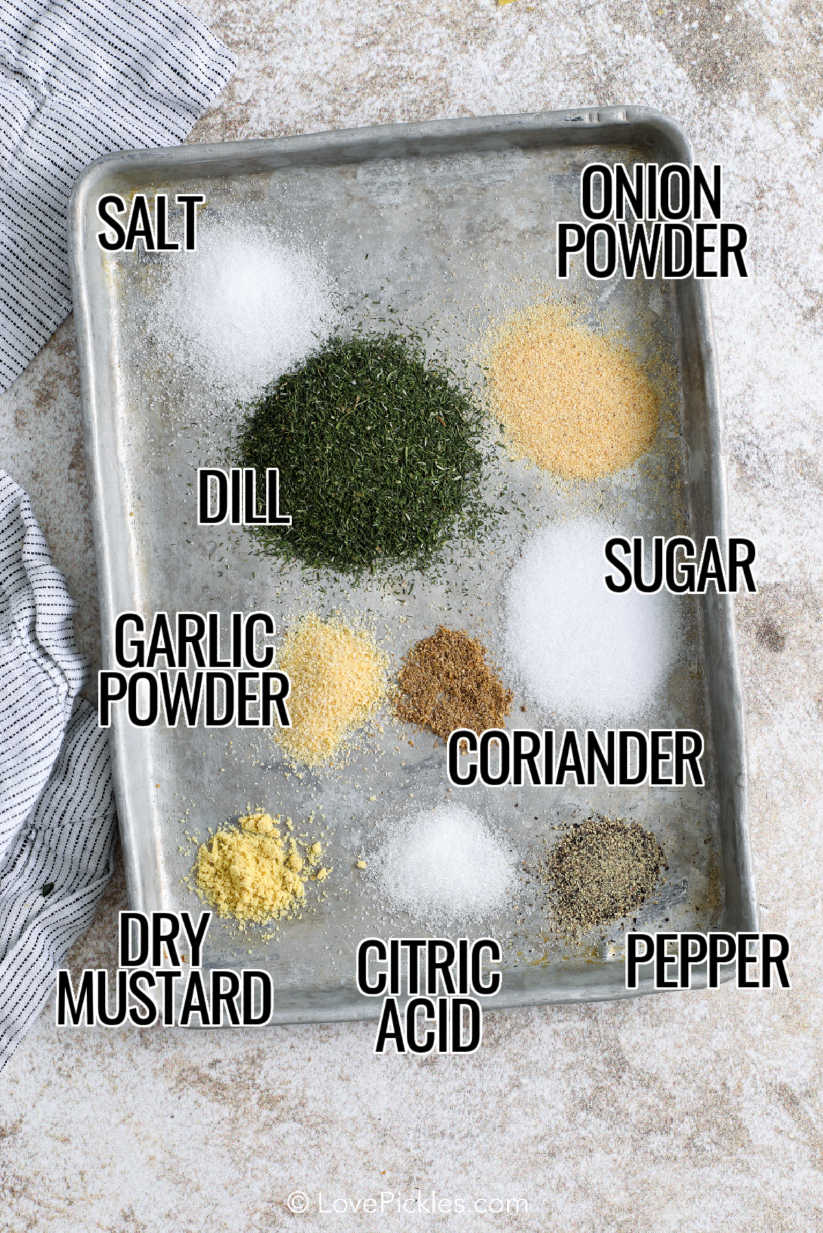 Homemade Dill Pickle Seasoning - Love Pickles